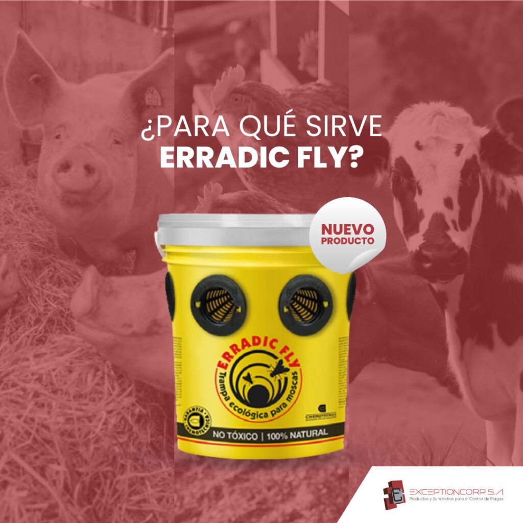 ERRADIC FLY trampa ecológica para moscas - Exceptioncorp S.A. - Insumos ...